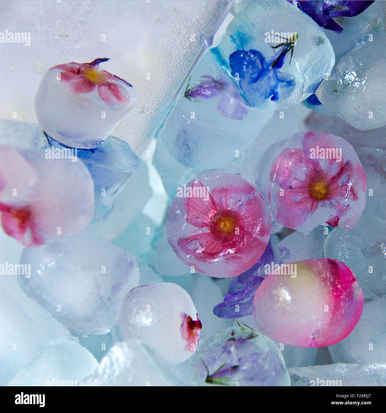 Themed party ideas hi-res stock photography and images - Alamy
