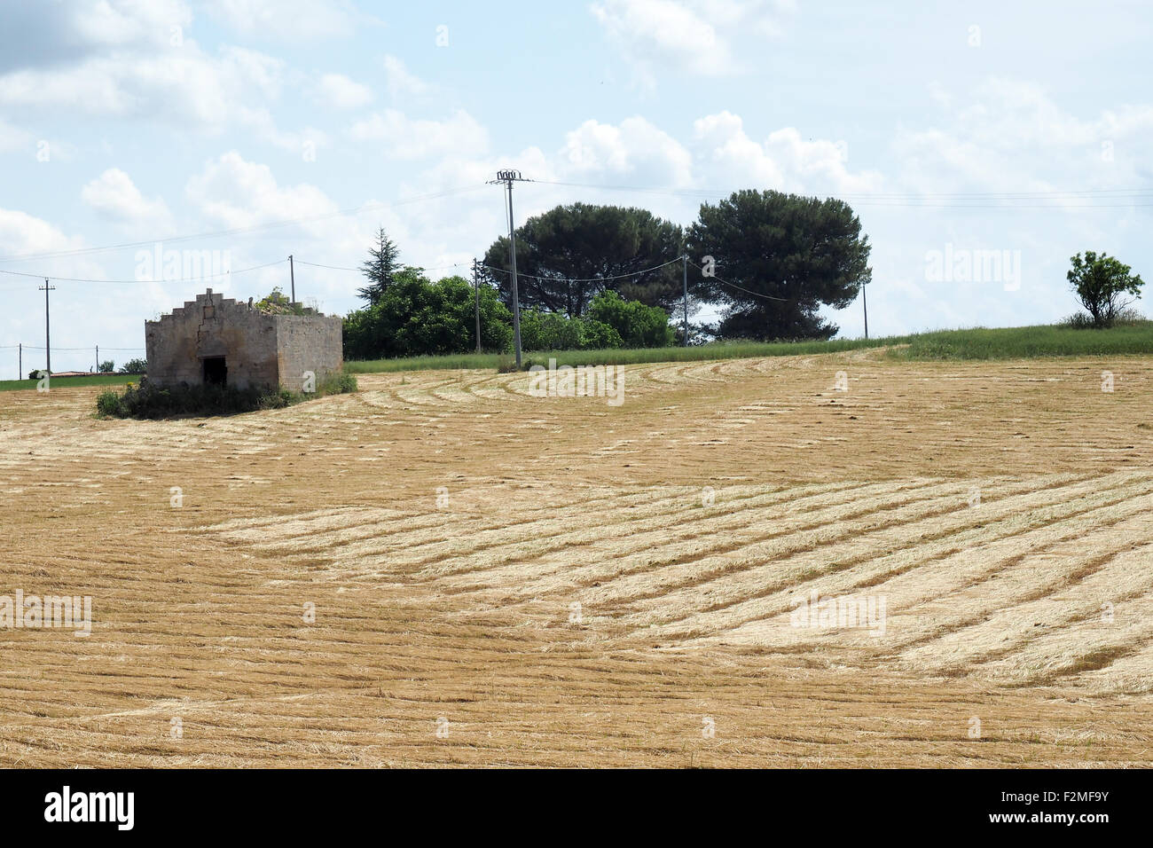Abandoned Wheat Barn High Resolution Stock Photography and Images - Alamy