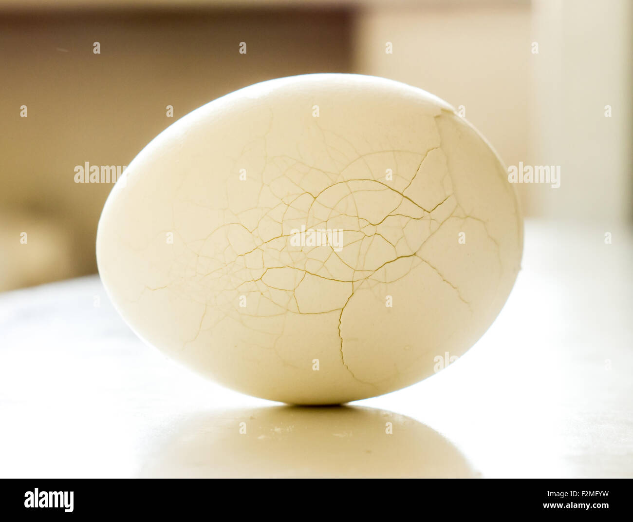 The chicken egg. Crack Stock Photo - Alamy
