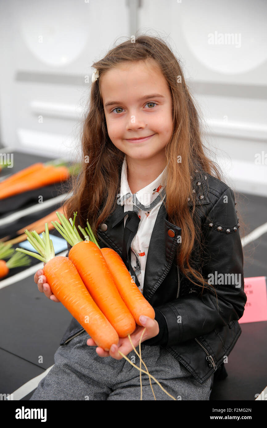Short carrot hi-res stock photography and images - Alamy