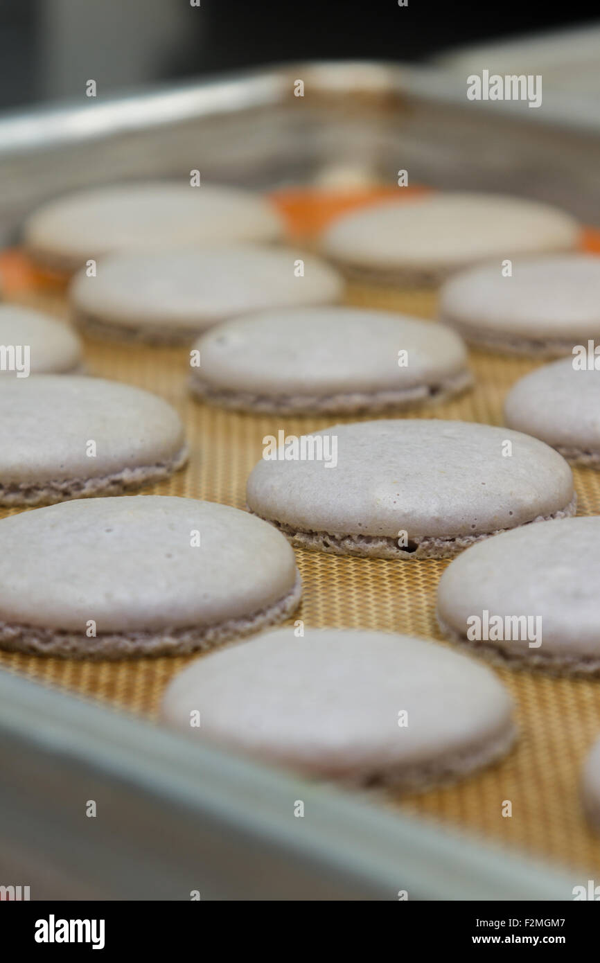 freshly baked purple circles to be used as a shell for french macaroons ...