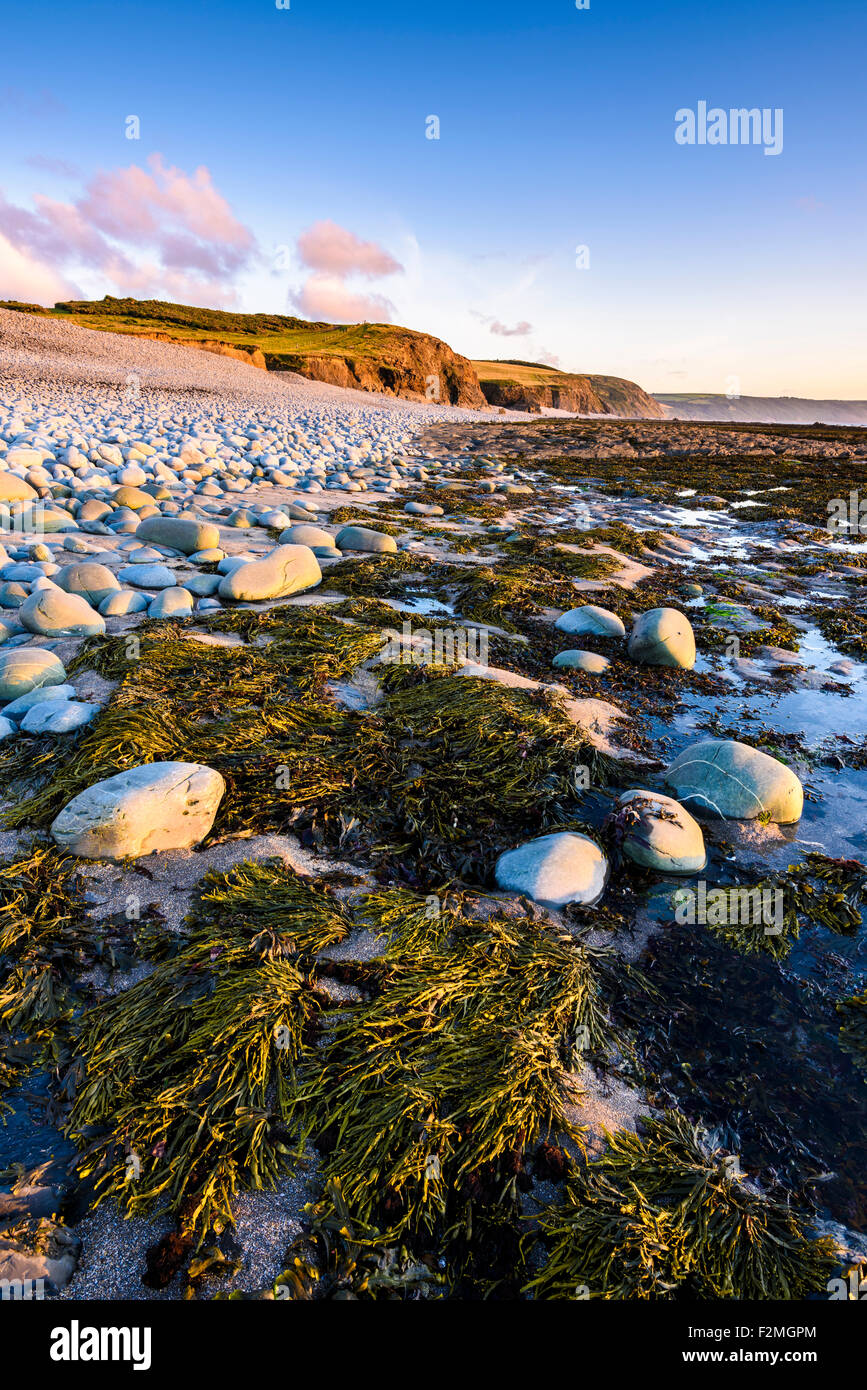 Cornborough Range and Abbotsham Cliff on the North Devon Coast near ...