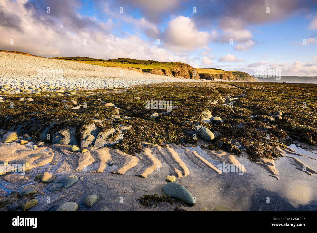 Cornborough Range and Abbotsham Cliff on the North Devon Coast near ...