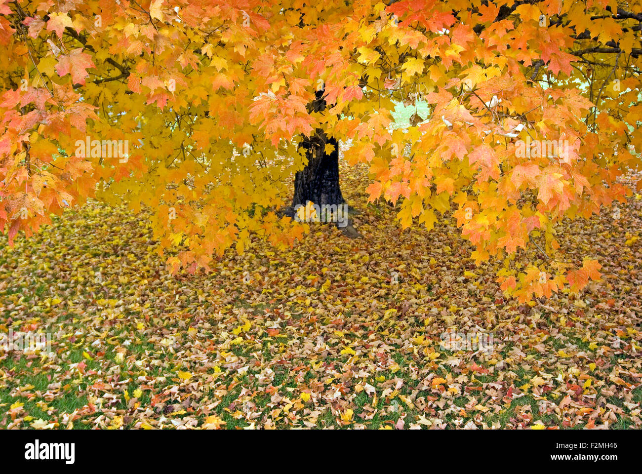 Horizontal format color hi-res stock photography and images - Alamy