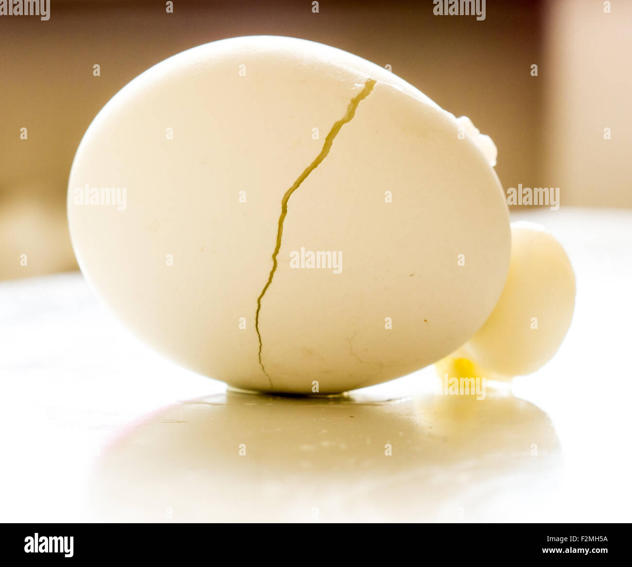The chicken egg. Crack Stock Photo - Alamy