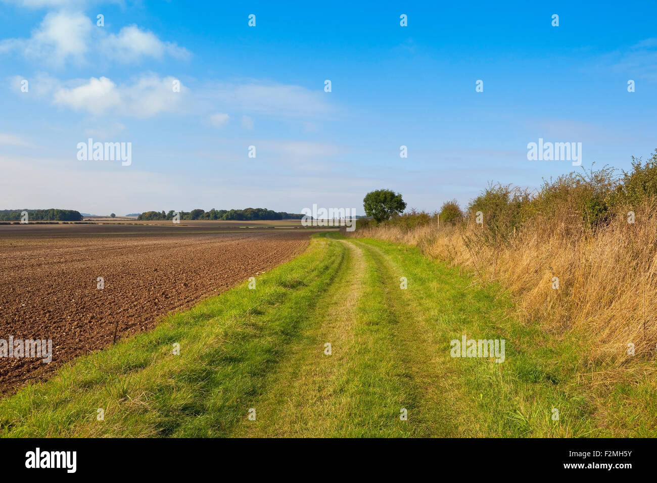 A grassy footpath by a cultivated field in the scenic autumn landscape ...