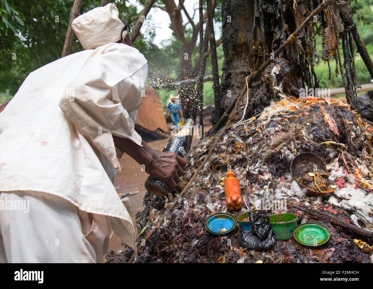 Benin, West Africa, Dankoly, a priest spitting coca cola on a voodoo ...