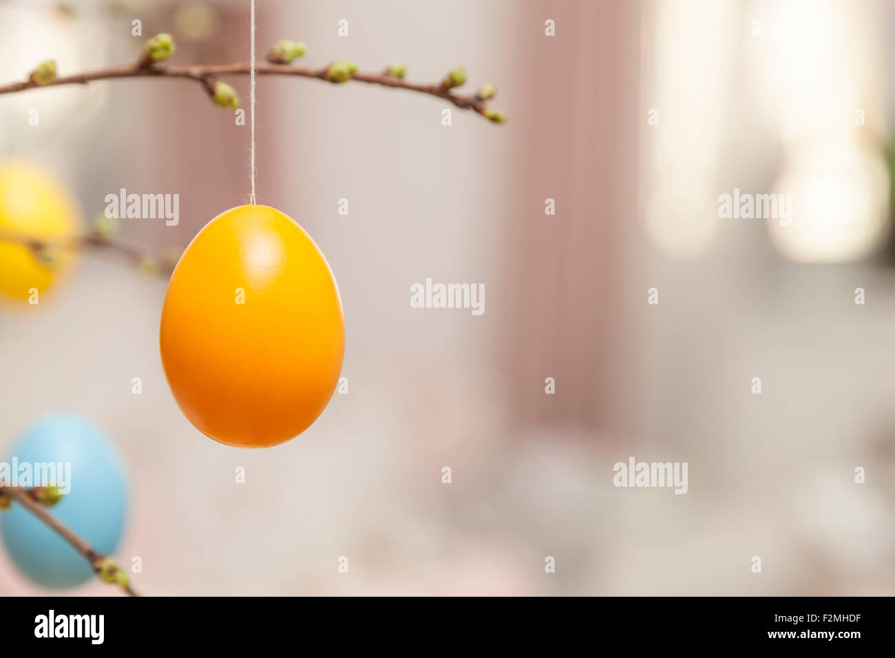 Easter shrub with orange egg Stock Photo - Alamy