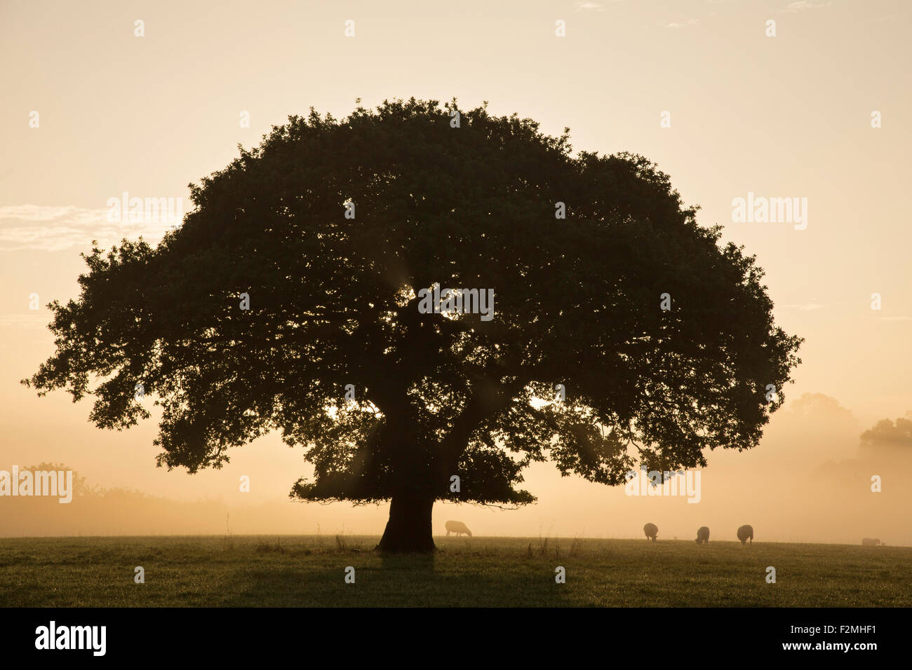 English country sunrise hi-res stock photography and images - Alamy