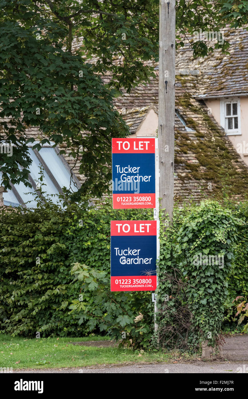 Property to let signs Stock Photo - Alamy