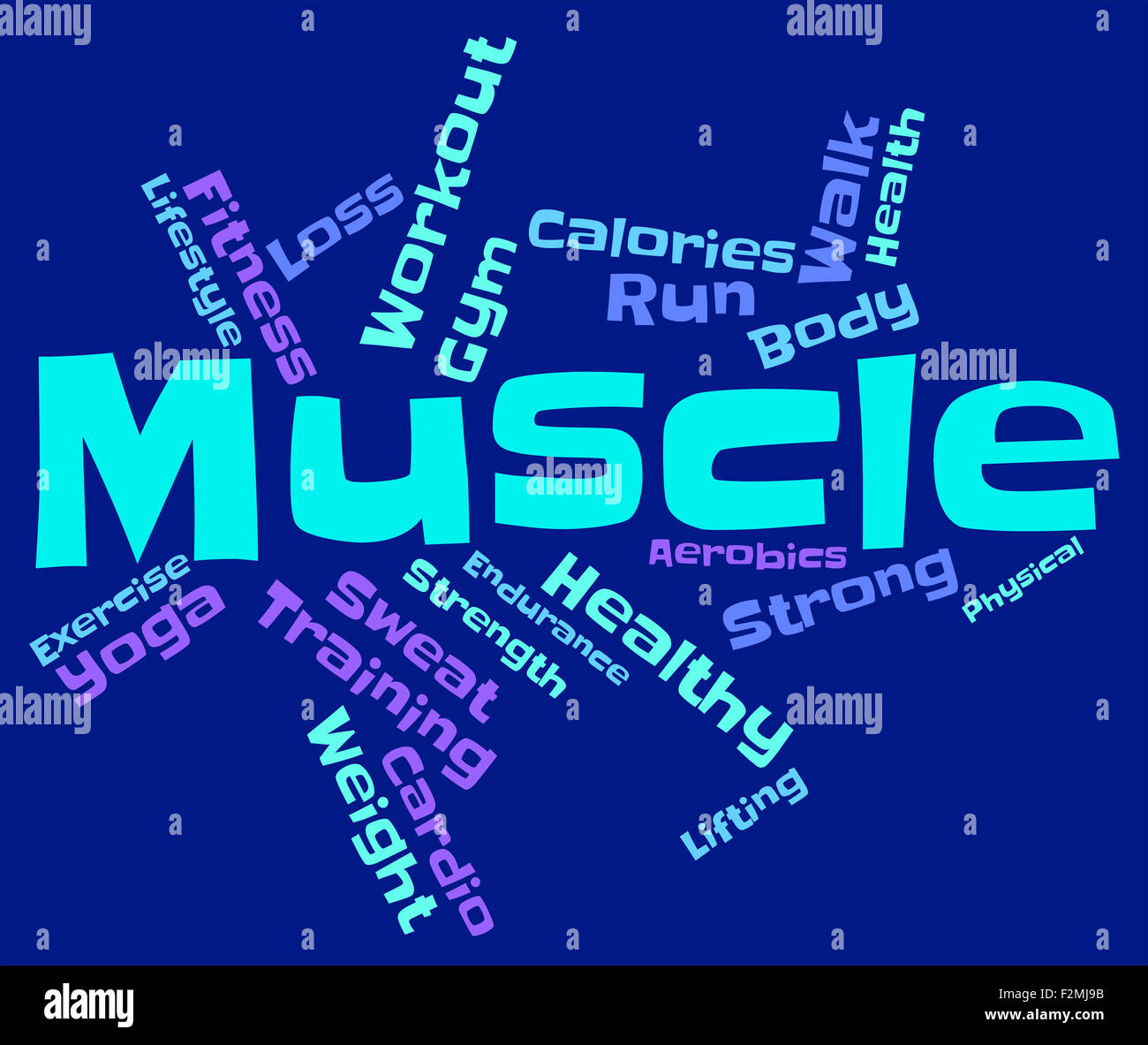 Muscle Words Showing Weight Lifting And Bodybuilding Stock Photo - Alamy