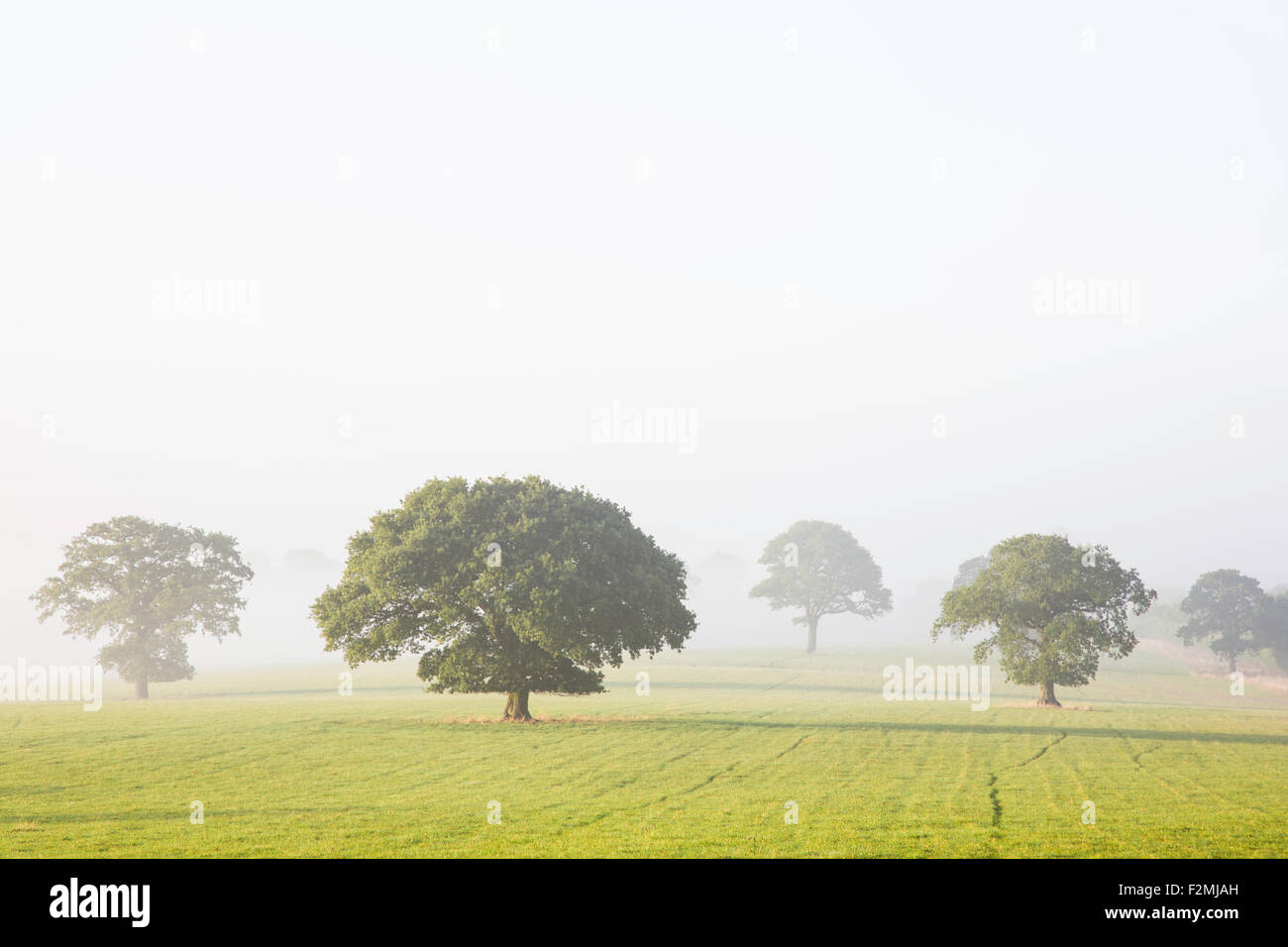 English dawn hi-res stock photography and images - Alamy