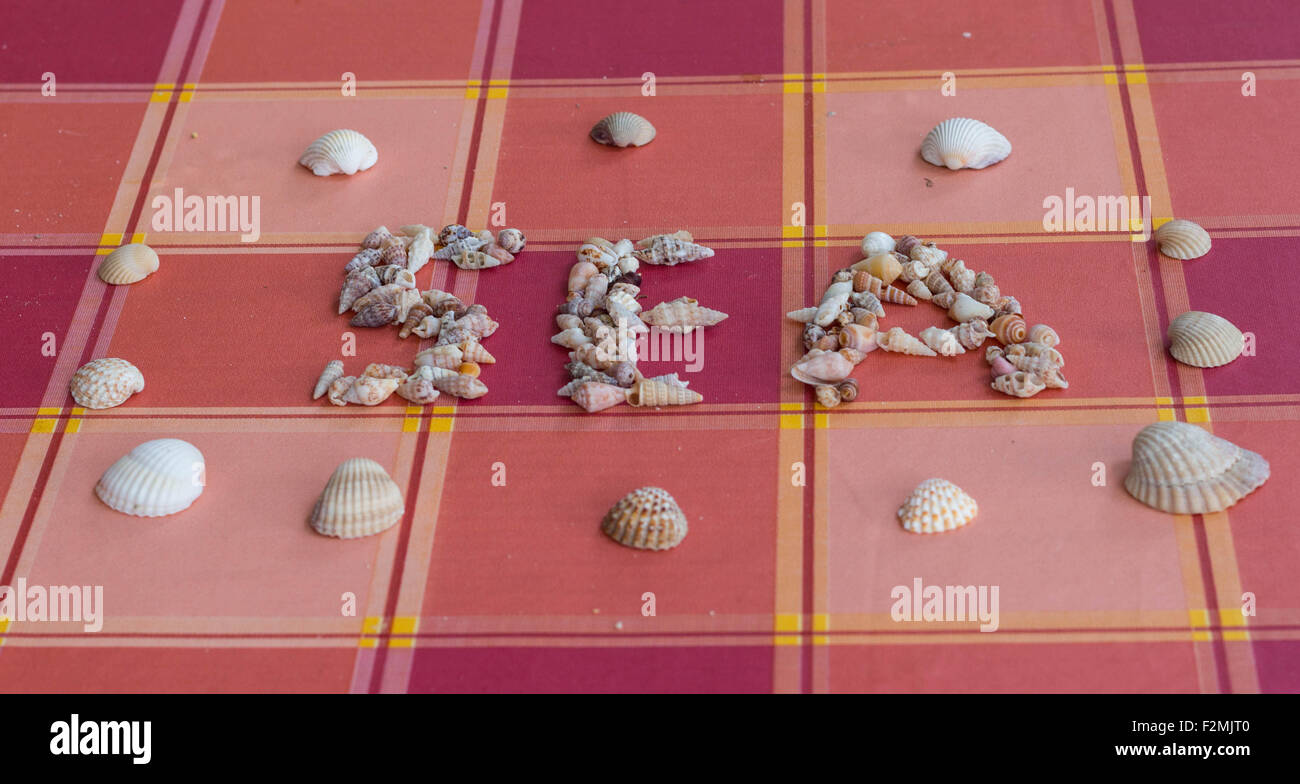 a composition of Sea Shells Stock Photo - Alamy