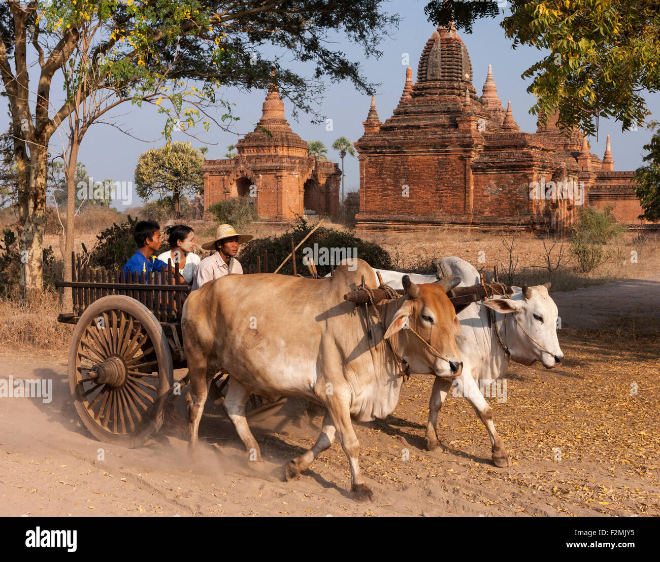 Couple and driver in an ox-drawn cart on dirt road near Buddhist stupas ...