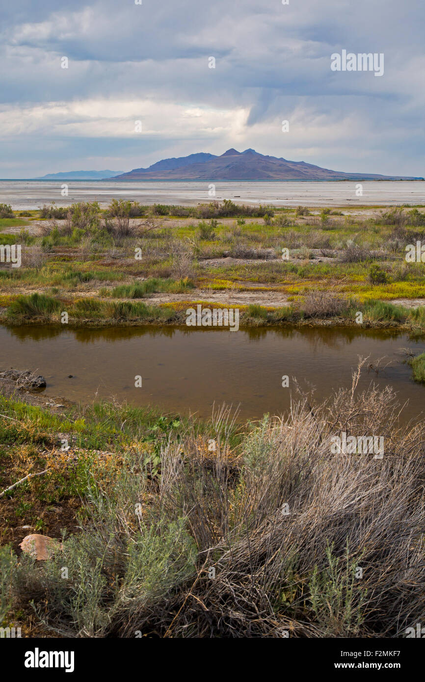 Utah wetlands nature preserve hi-res stock photography and images - Alamy