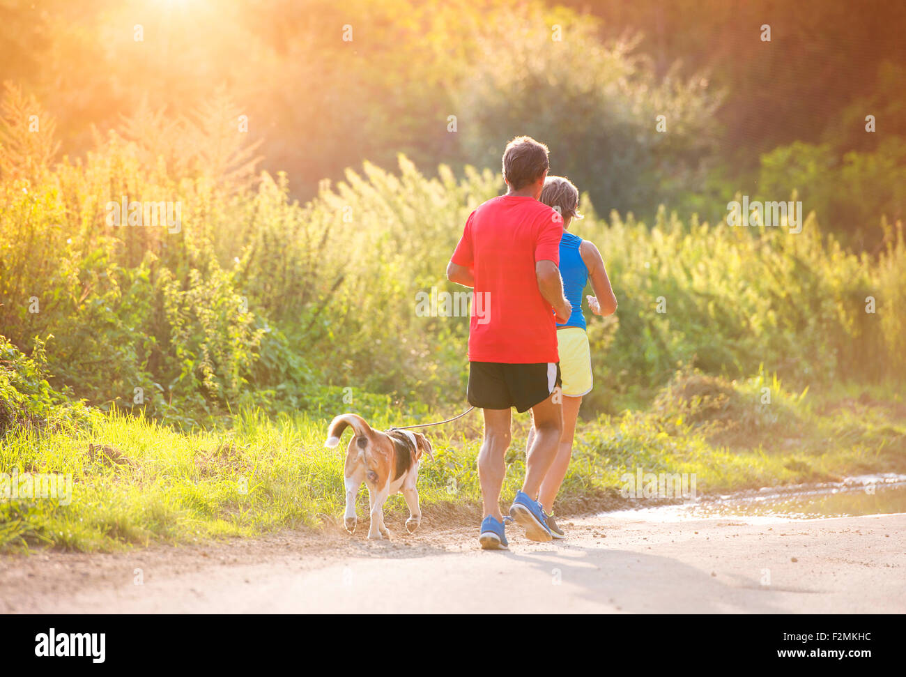 Active seniors running with their dog outside in green nature Stock ...