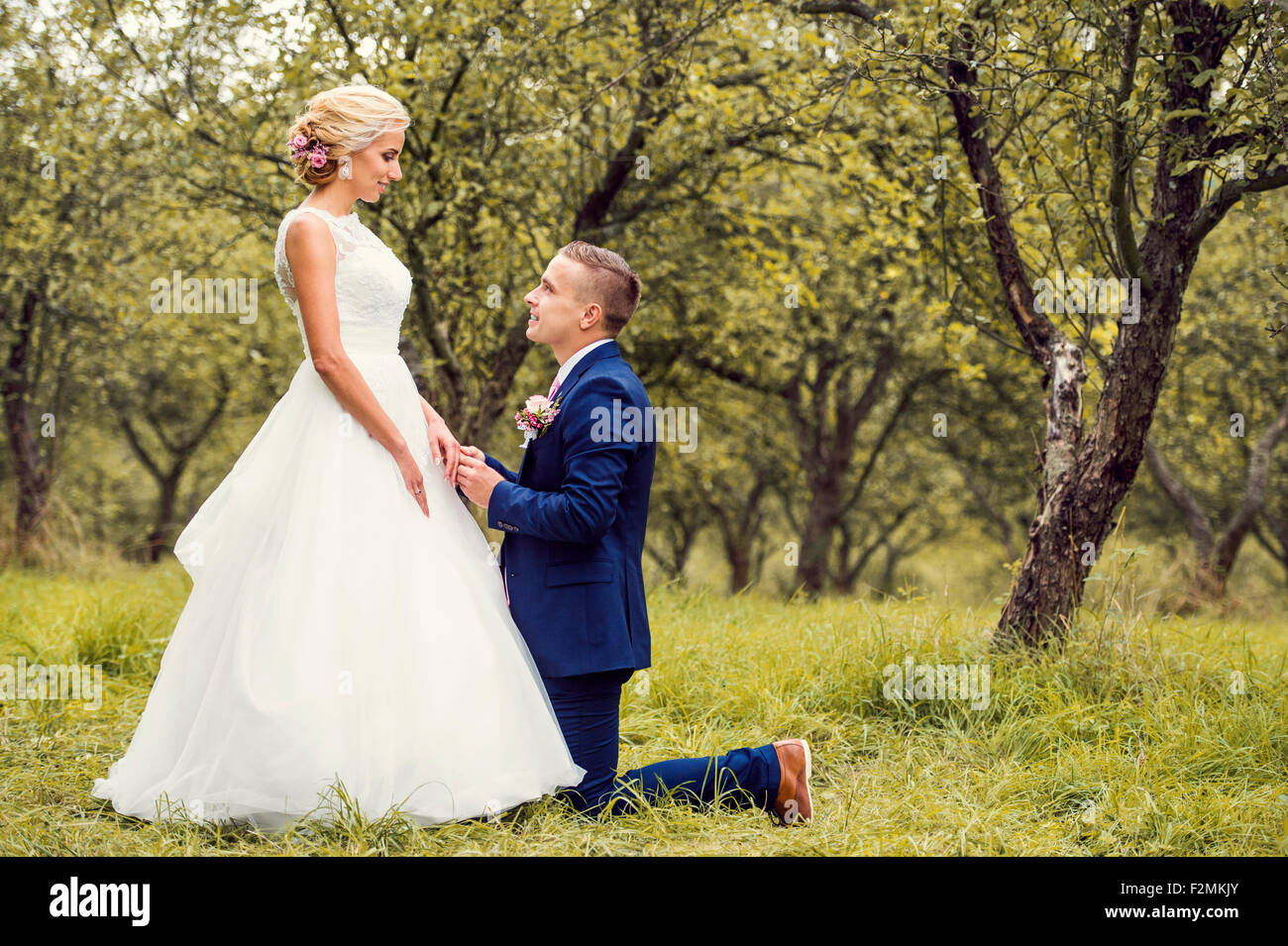 Beautiful young wedding couple outside in nature Stock Photo - Alamy