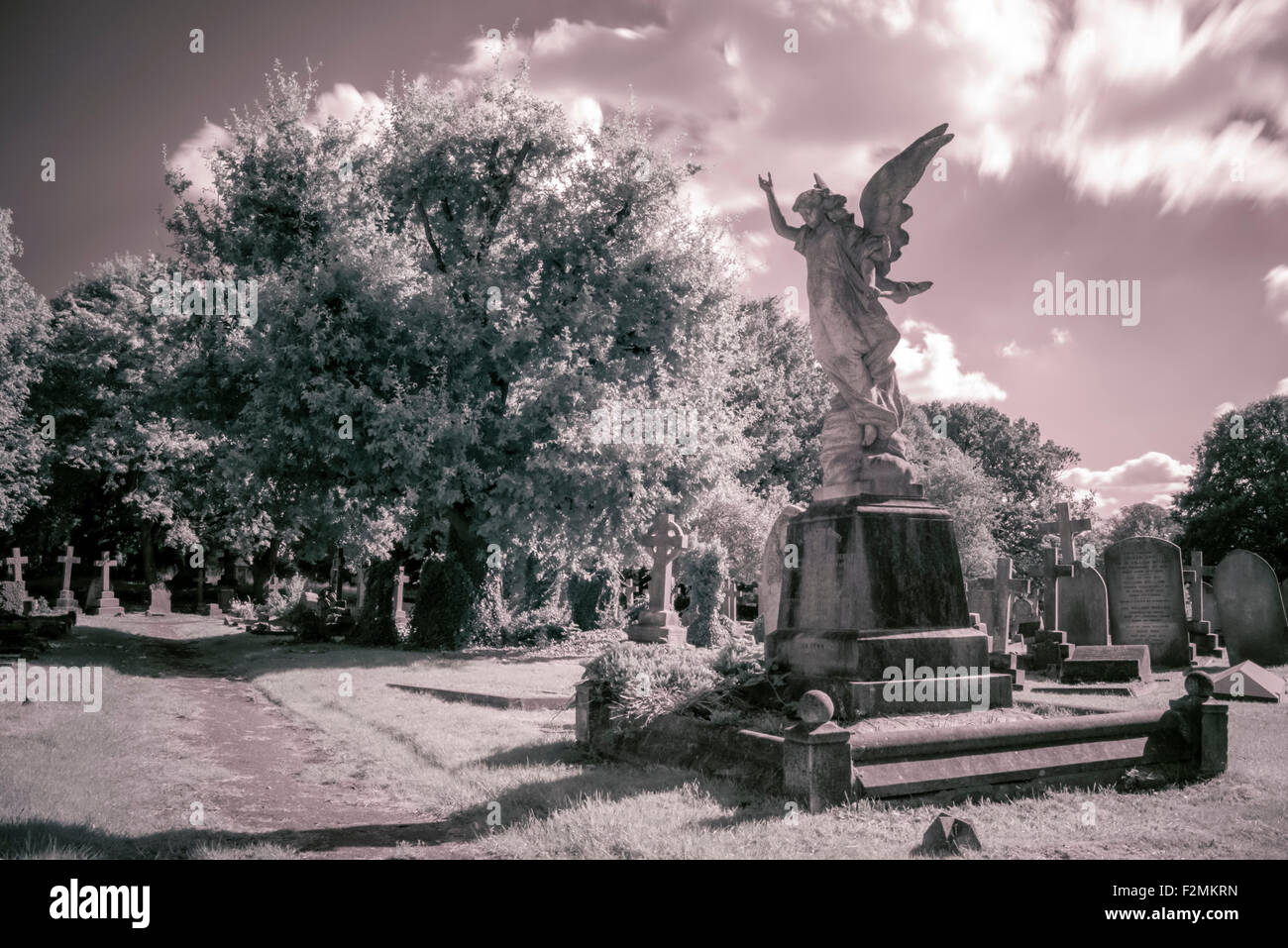 Infrared photo of Kingston-upon-Thames Cemetery Stock Photo - Alamy
