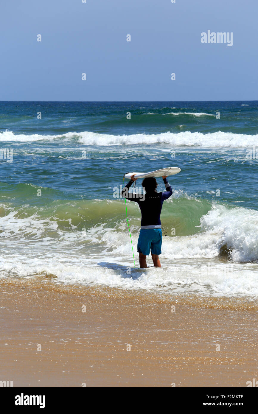 Surfer at Ditch Plains Beach montauk Long Island New York Stock Photo ...