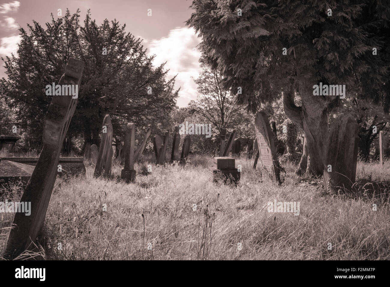 Infrared photo of Kingston-upon-Thames Cemetery Stock Photo - Alamy