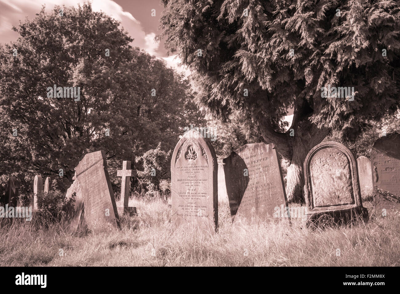 Infrared photo of Kingston-upon-Thames Cemetery Stock Photo - Alamy