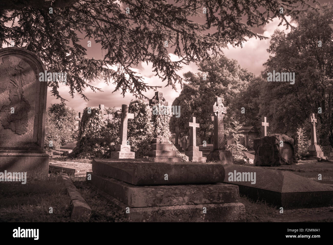 Infrared photo of Kingston-upon-Thames Cemetery Stock Photo - Alamy