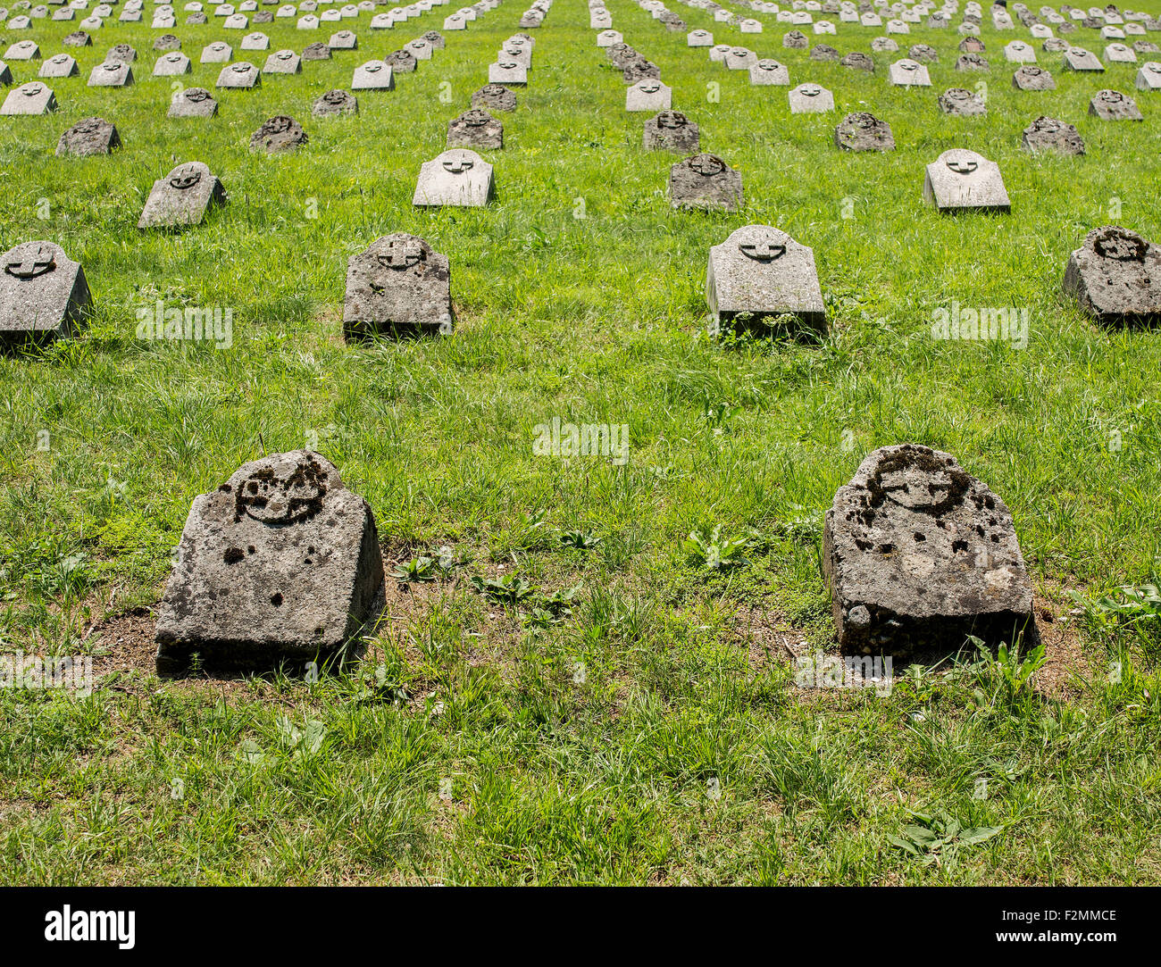 Gravestones placed in lines, each one for one soldier, fallen in battle ...