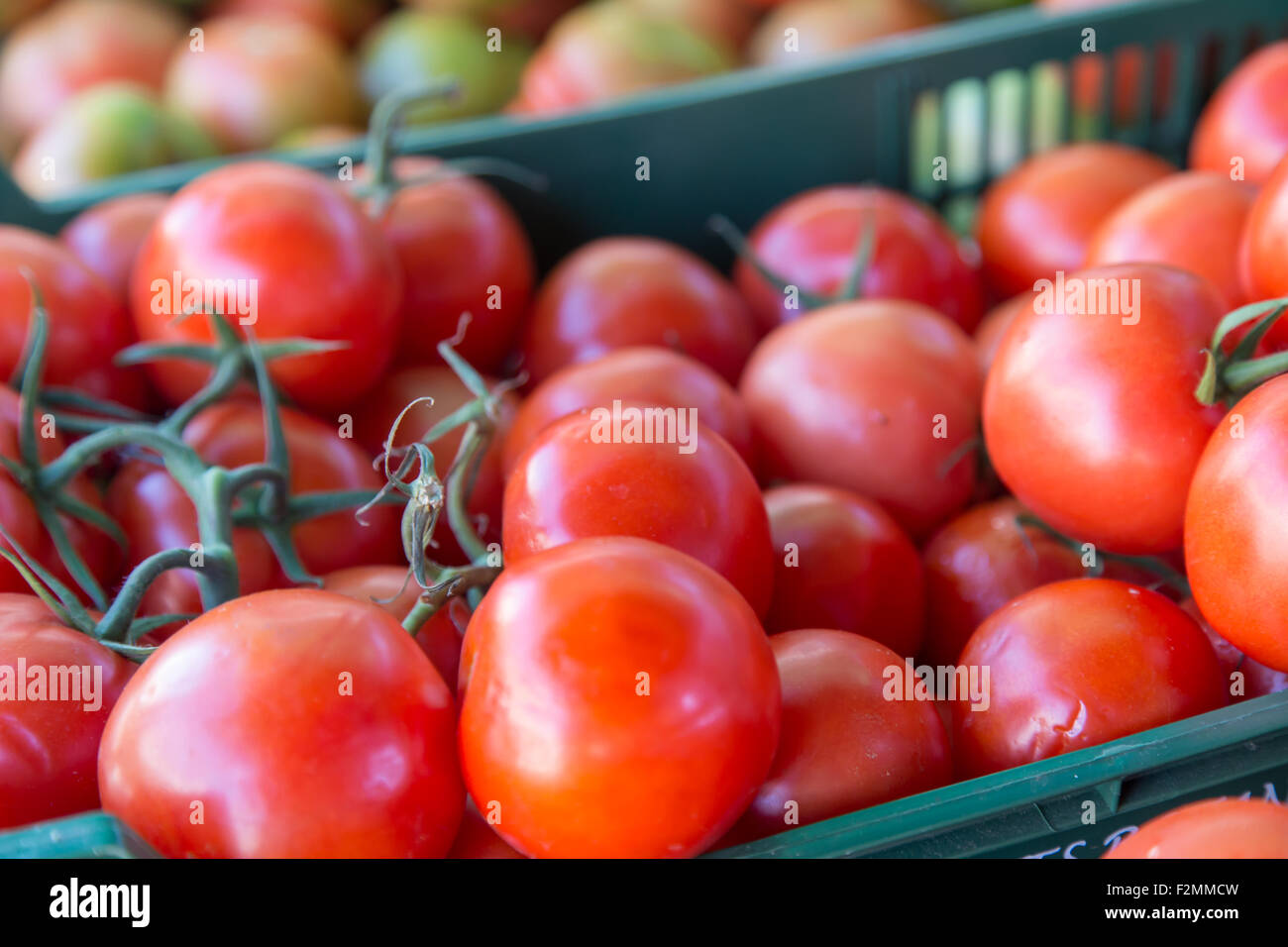 tomato group in marketplace Stock Photo - Alamy