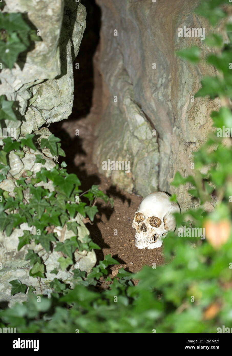 Persons head found in front of a cave entrance Stock Photo - Alamy