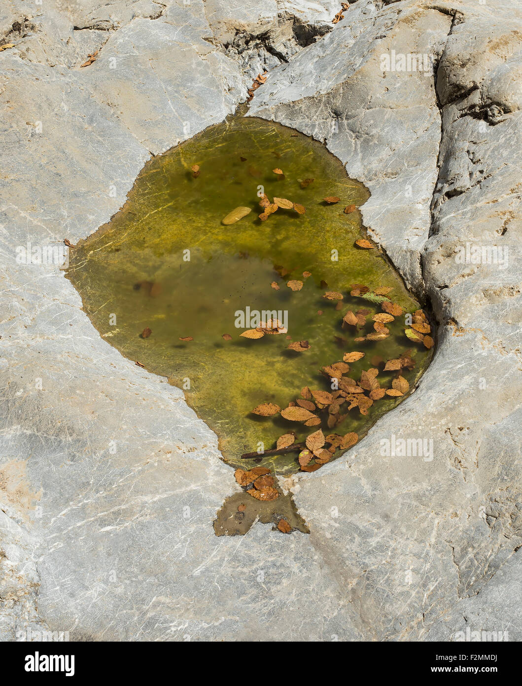 small water pond formed on top of the rocks Stock Photo - Alamy