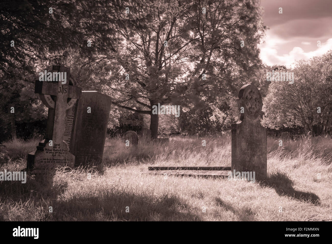 Infrared photo of Kingston-upon-Thames Cemetery Stock Photo - Alamy