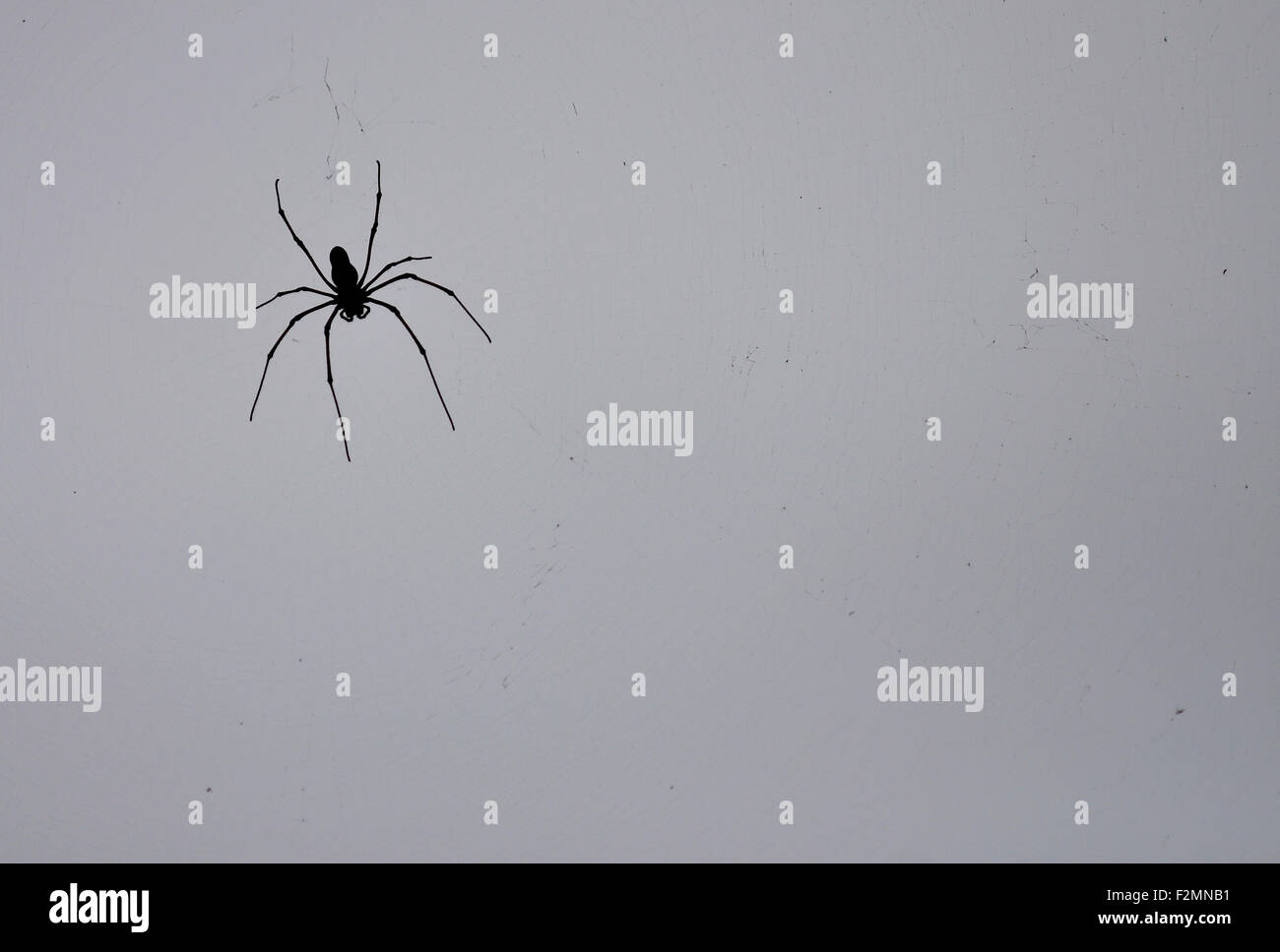 Interlink fabric hi-res stock photography and images - Alamy