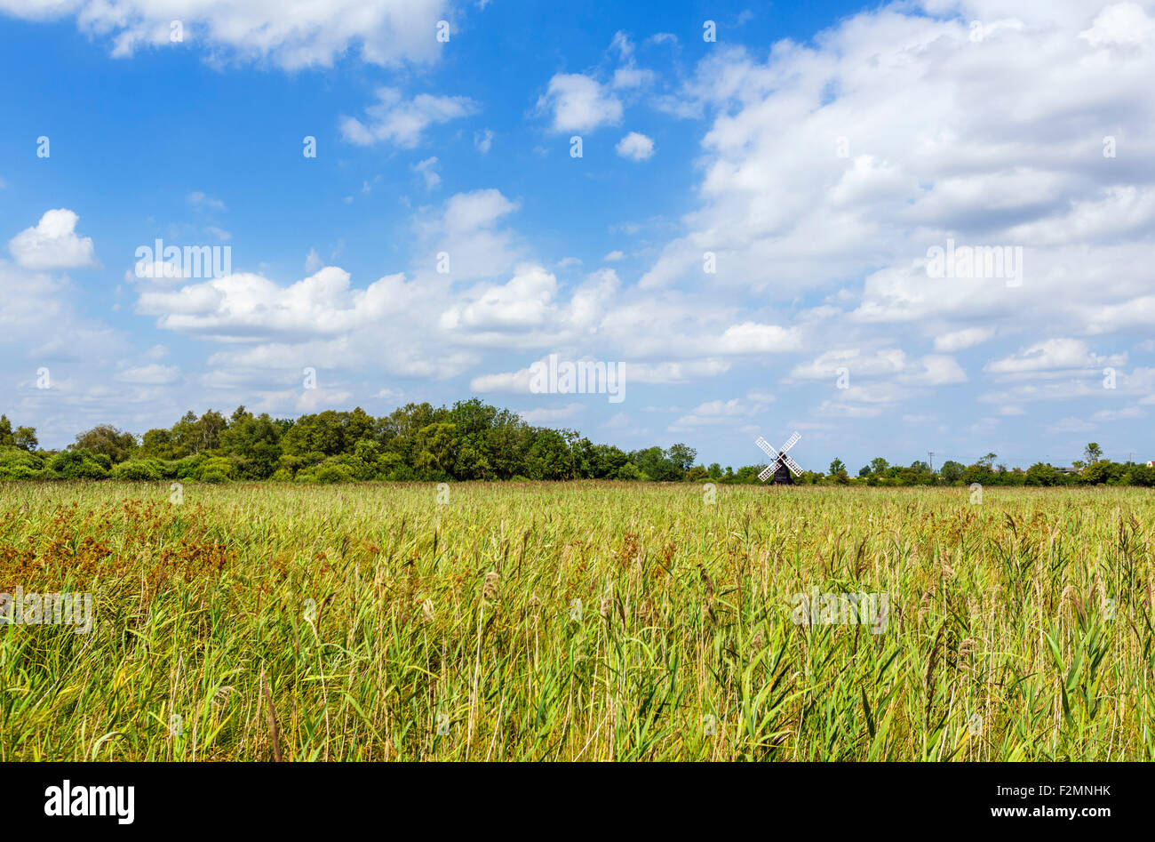 Windmill at Wicken Fen, a wetland nature reserve near Wicken ...