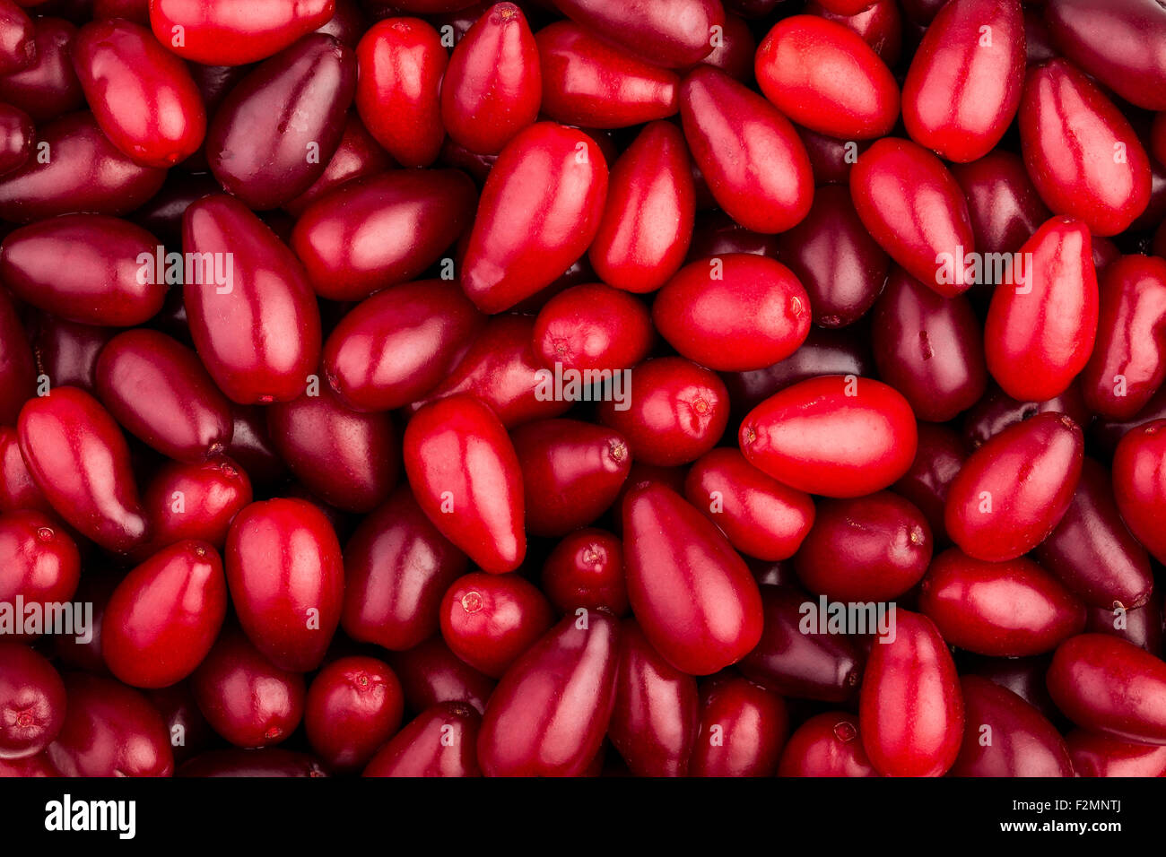 Cornel berry hi-res stock photography and images - Alamy