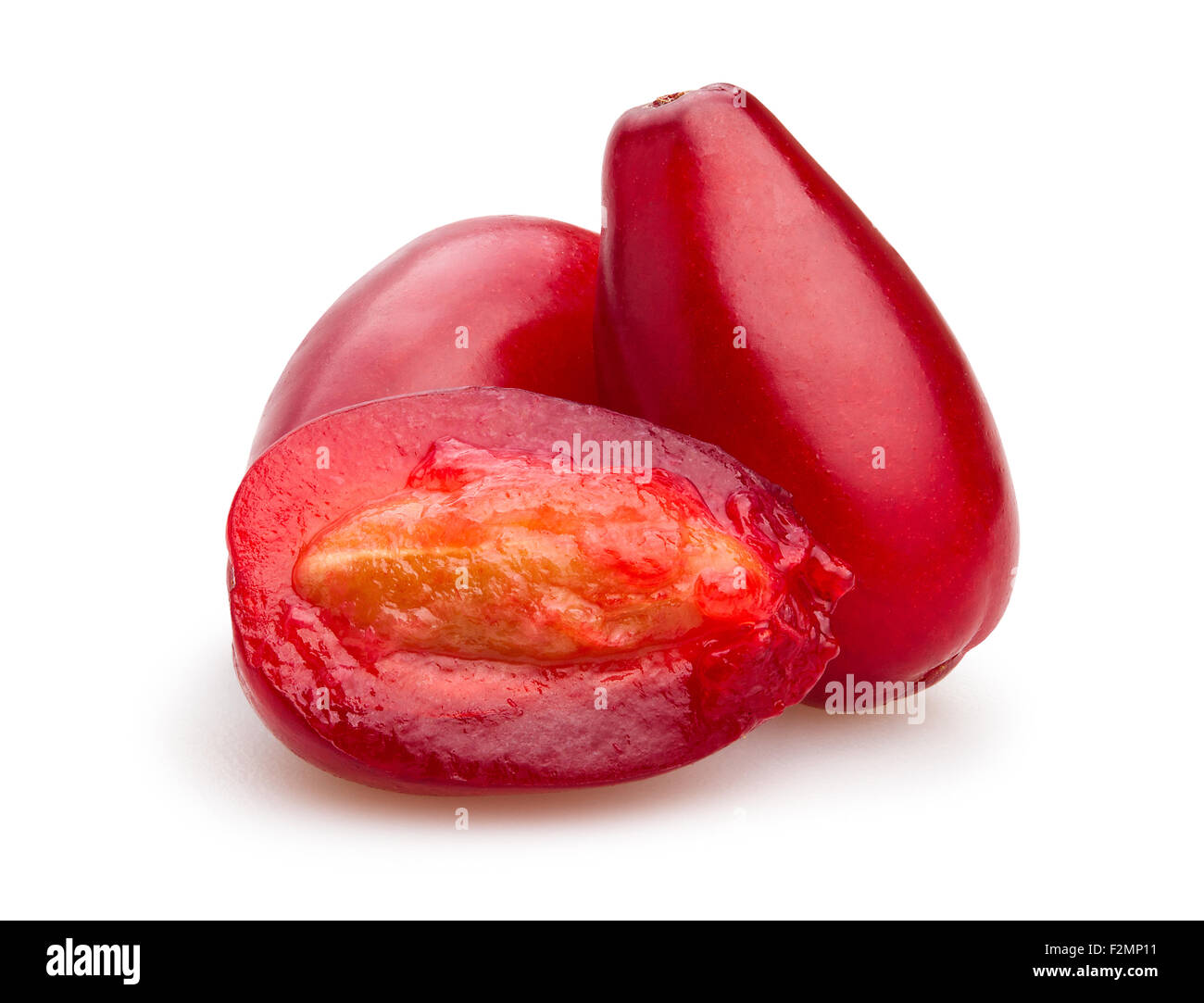 Dogwood seed hi-res stock photography and images - Alamy