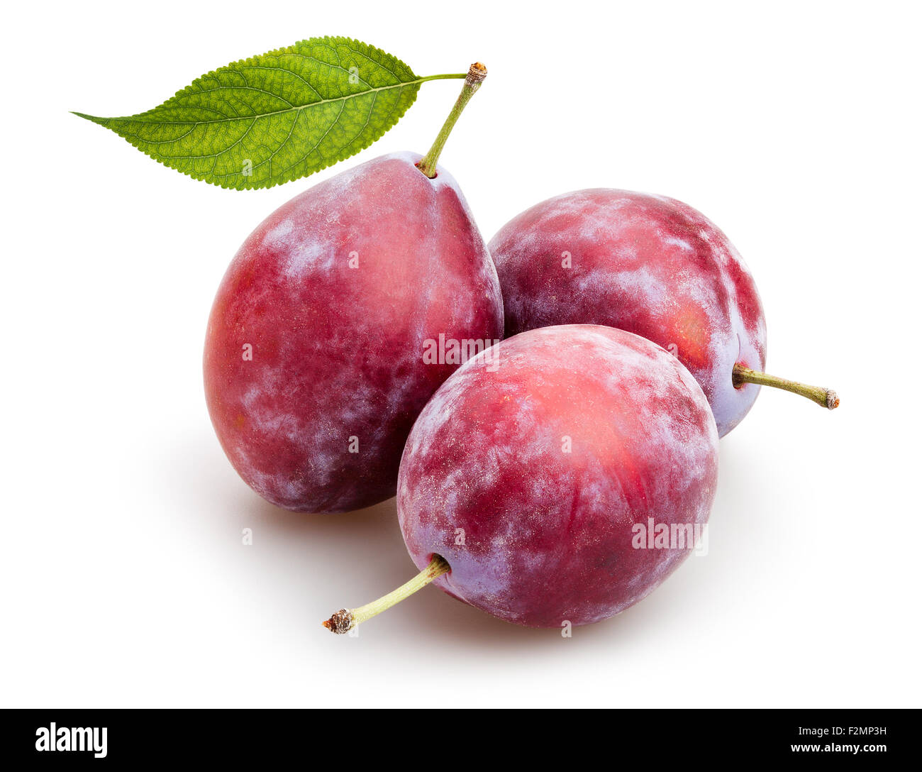 Three plum leaves hi-res stock photography and images - Alamy