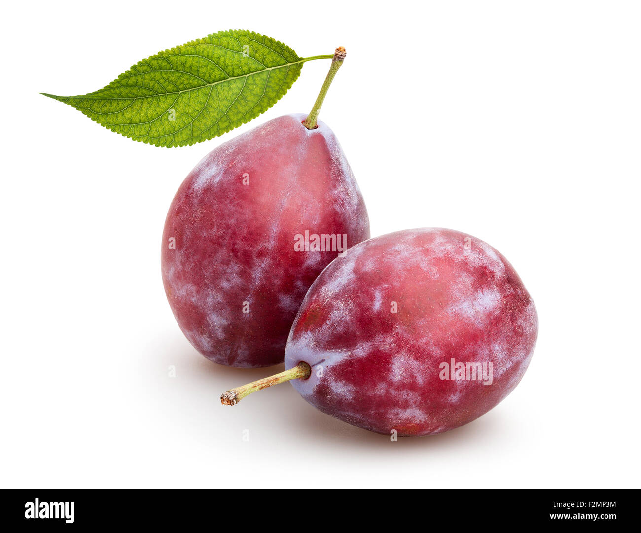red plum isolated Stock Photo - Alamy