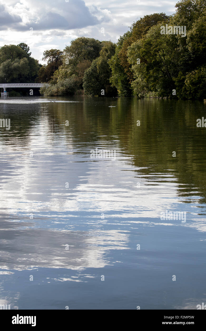 River thames trees hi-res stock photography and images - Alamy