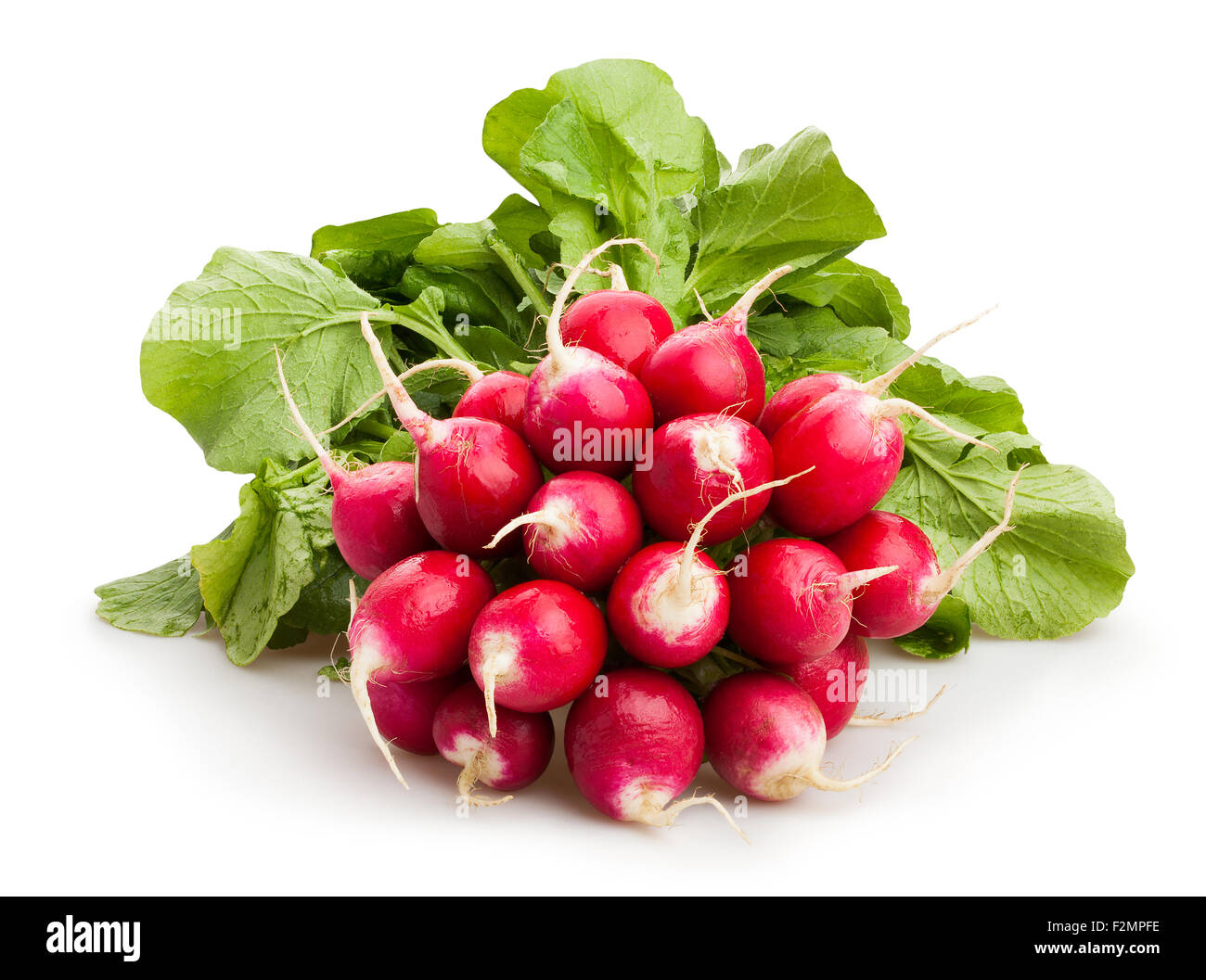 Radish radishes vegetable food hi-res stock photography and images - Alamy