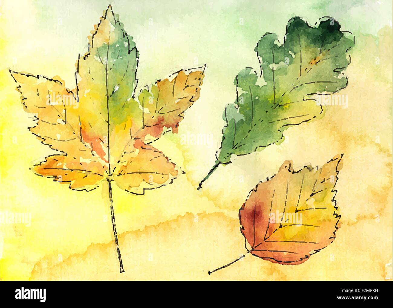 Hand drawn autumn leaves Stock Vector Image & Art - Alamy