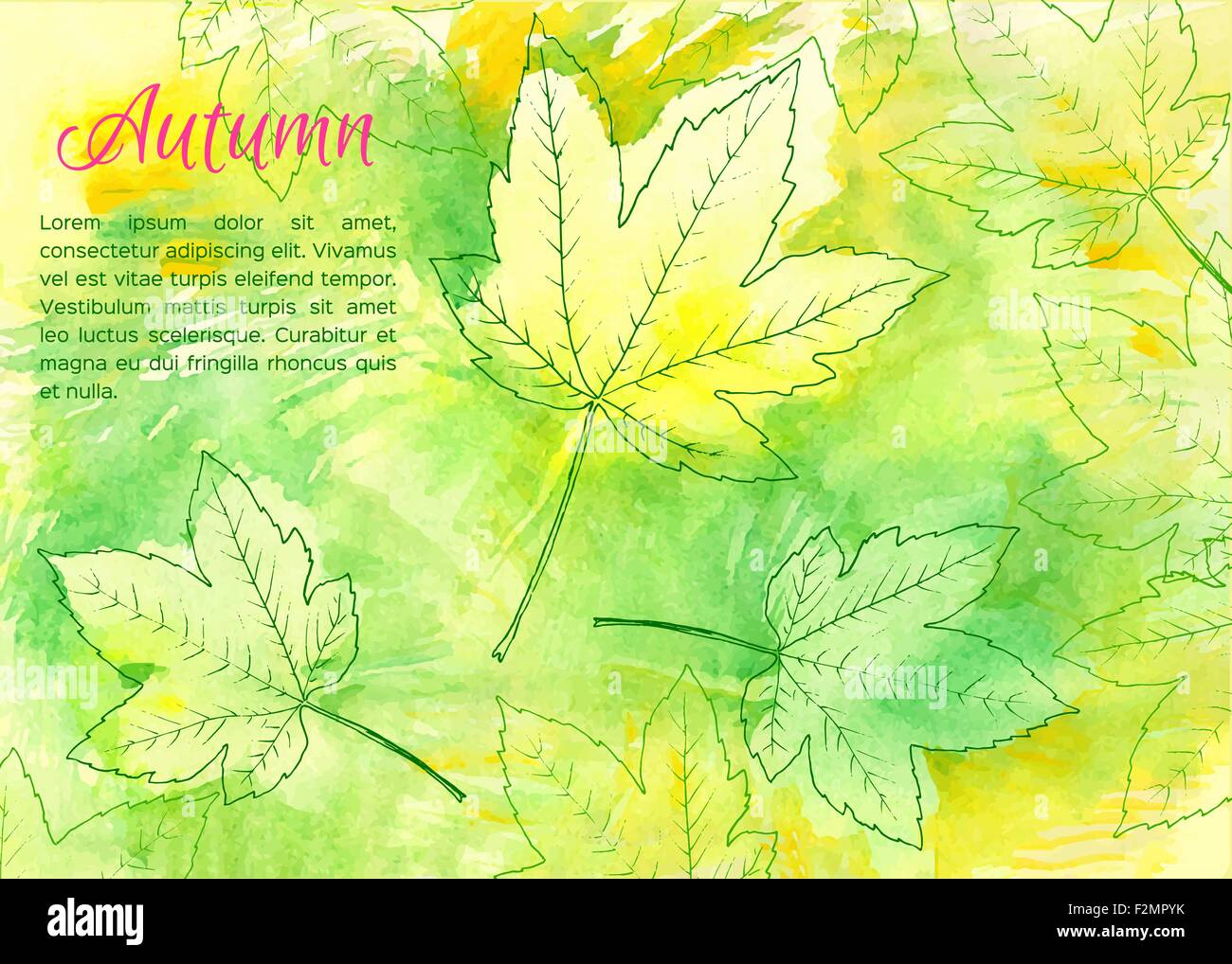 Hand drawn autumn leaves Stock Vector Image & Art - Alamy