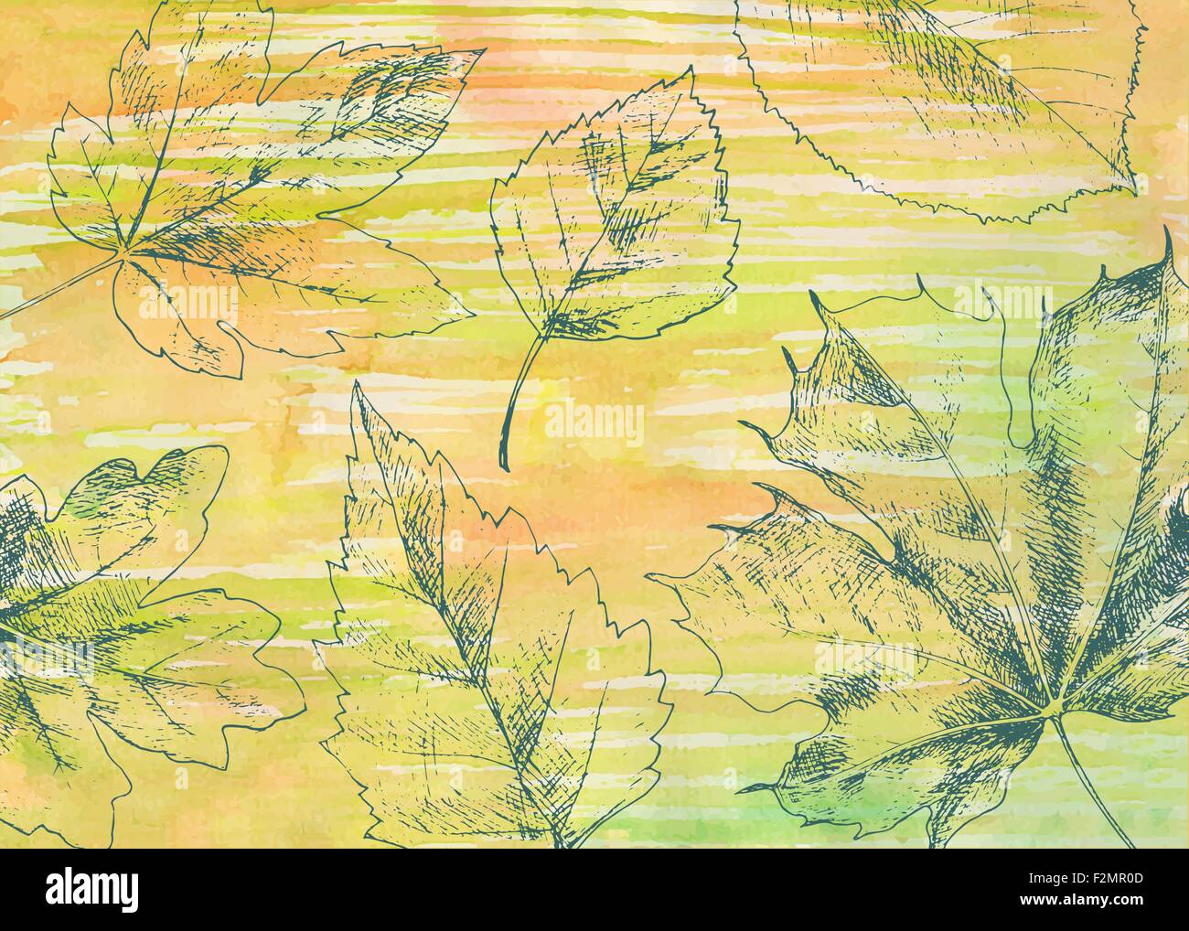 Hand drawn autumn leaves Stock Vector Image & Art - Alamy