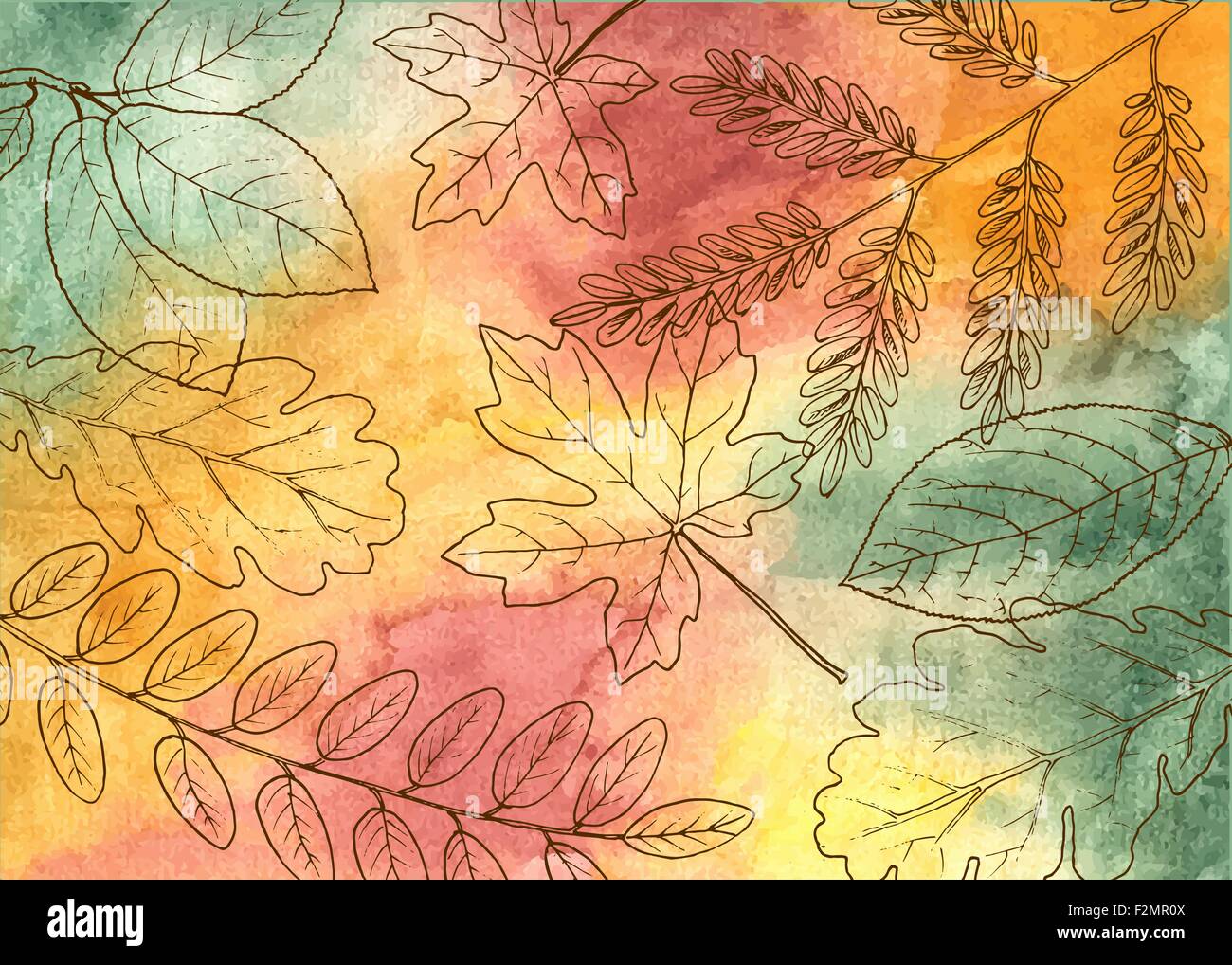Hand drawn autumn leaves Stock Vector Image & Art - Alamy