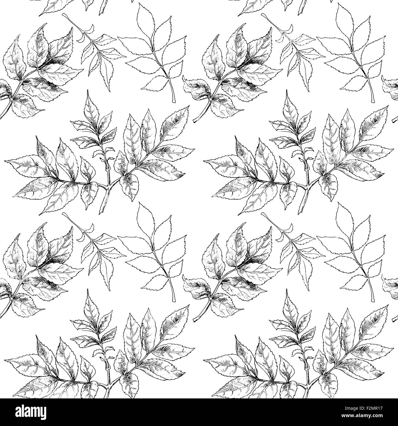 Hand drawn autumn leaves Stock Vector Image & Art - Alamy
