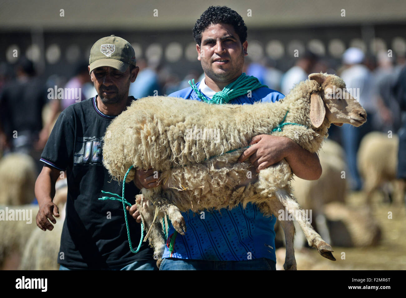 Tunis, Tunisia. 21st Sep, 2015. A local citizen holds his sheep in ...