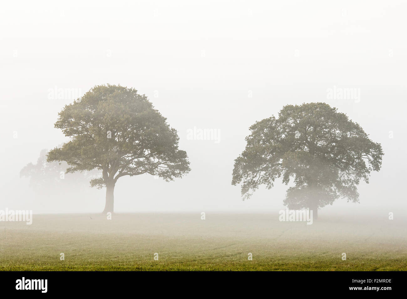 Misty dawn over english hi-res stock photography and images - Alamy