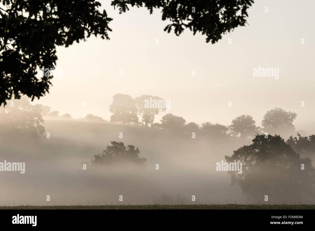 Dawn over the English countryside, England, UK Stock Photo - Alamy