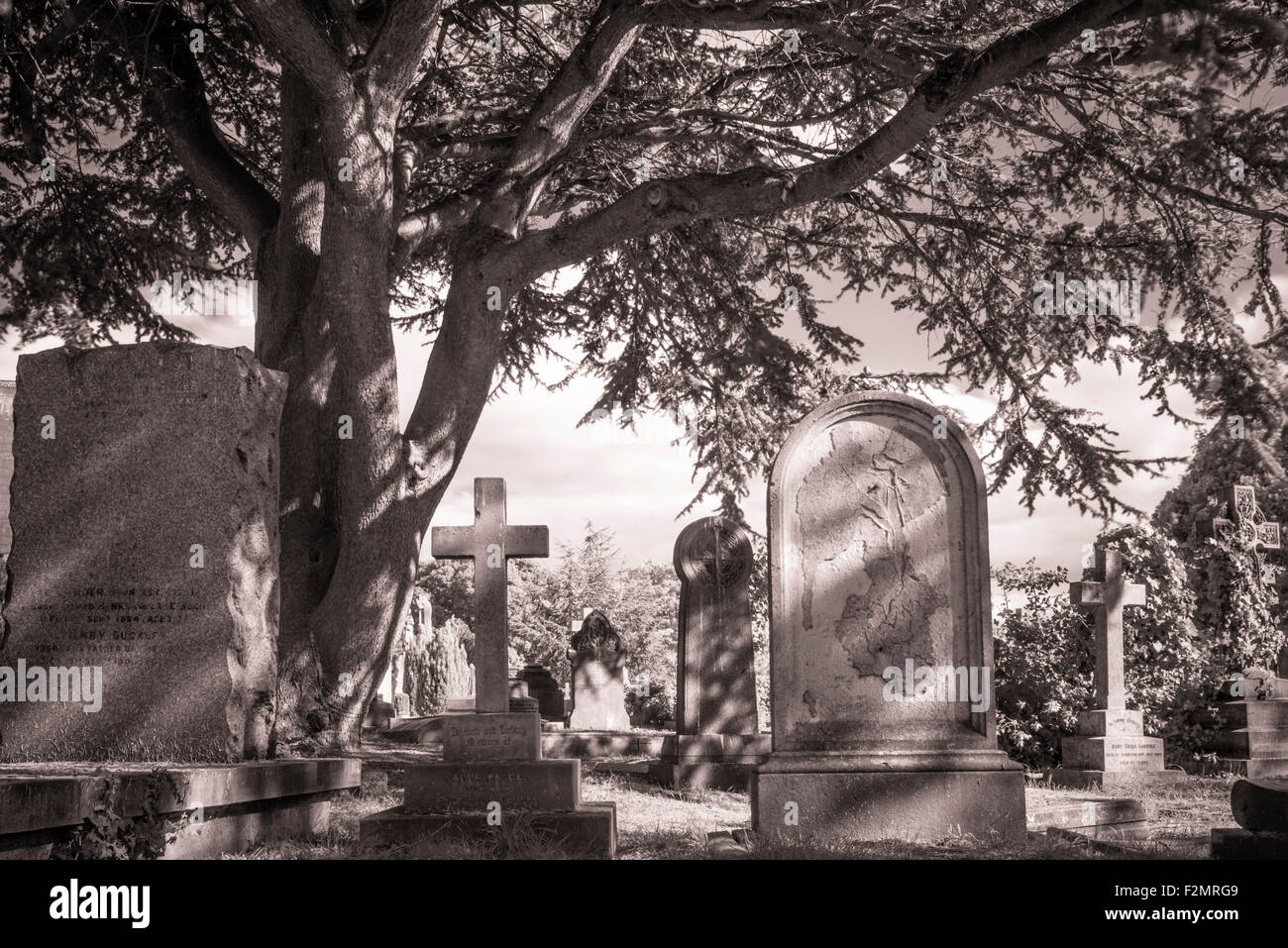 Infrared photo of Kingston-upon-Thames Cemetery Stock Photo - Alamy
