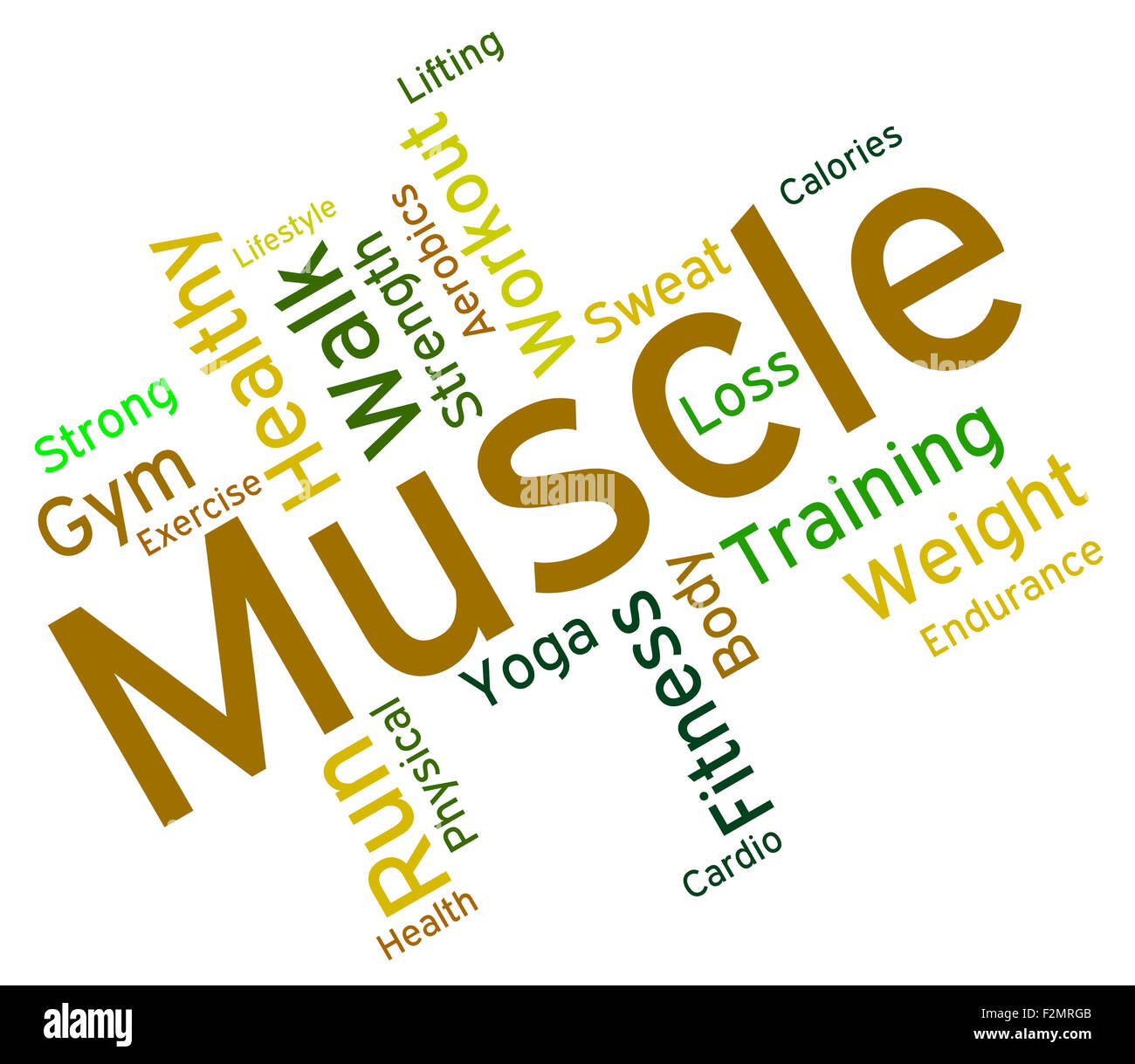 Muscle Words Representing Fitness Dumbell And Training Stock Photo - Alamy