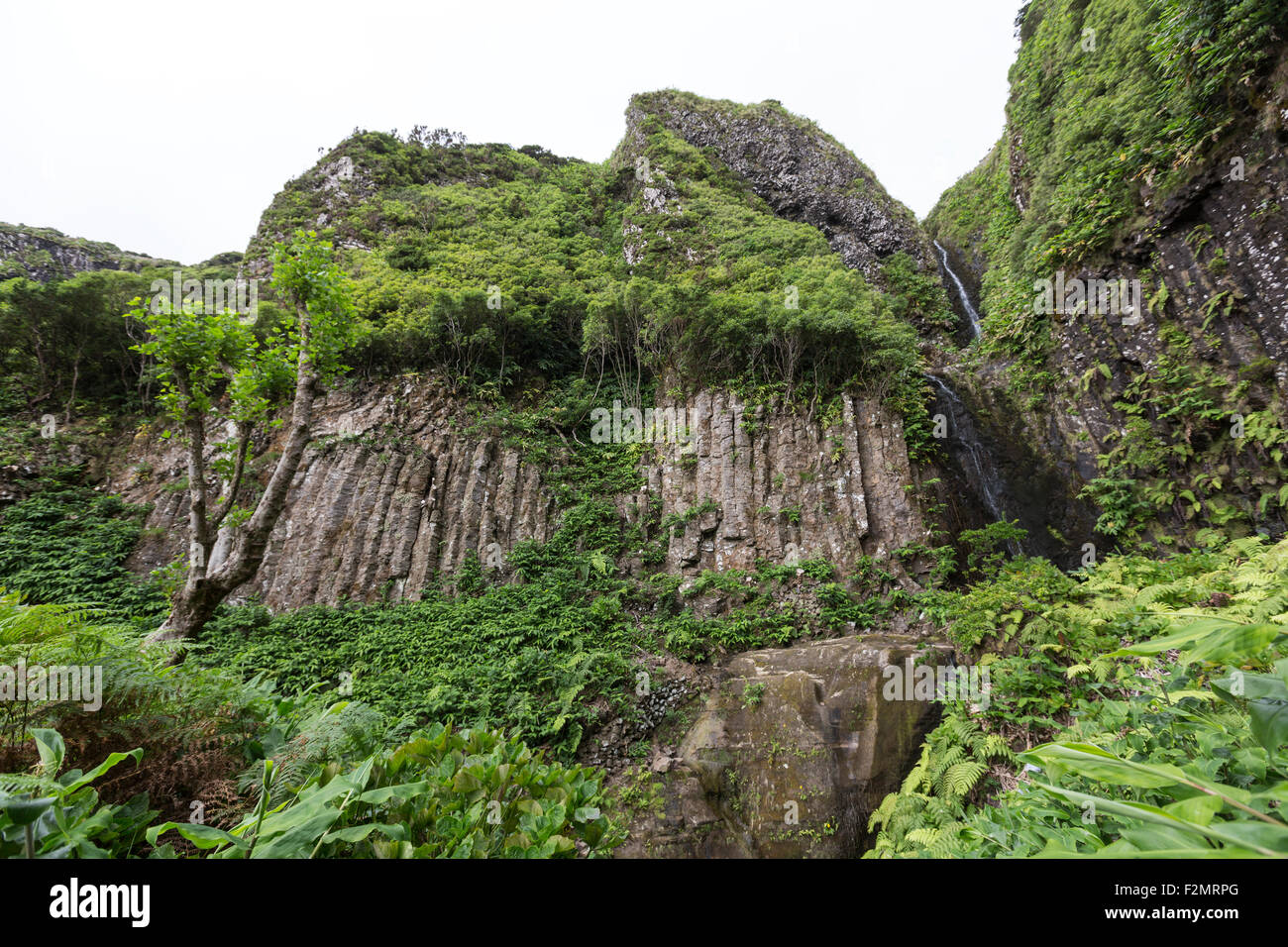Geological formation of columns of basalt, Las Flores Island Azores ...